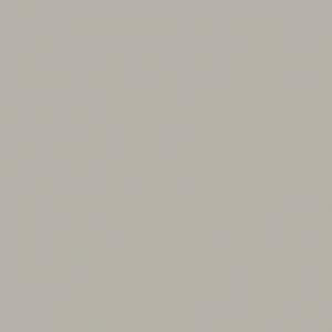 French Grey - Dark #163 - Paint and Brush