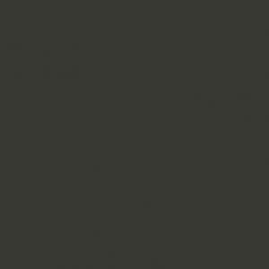 Paint & Paper Library - Charbone #288 - Paint and Brush