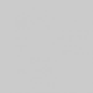 Paint & Paper Library - Slate 3 #163 - Paint and Brush