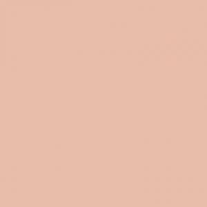Farrow and Ball Archive Collection - Pink Drab #207 - Paint and Brush