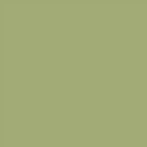 Farrow and Ball Archive Collection - Saxon Green #80 - Paint and Brush
